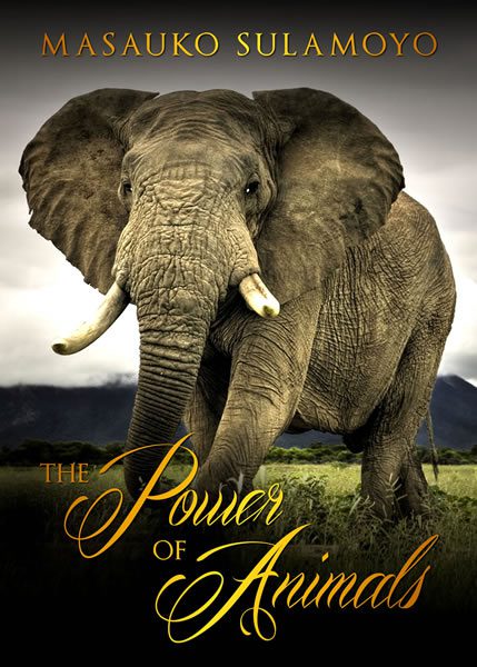 The Power Of Animals | Zion Publications Intl.
